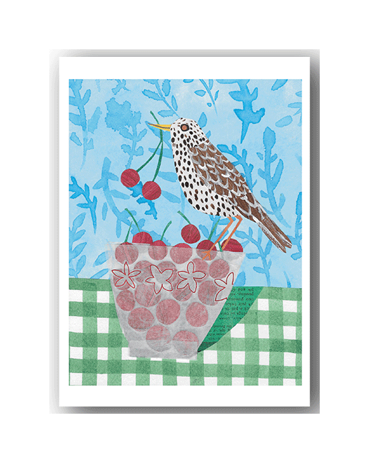 Gillian Ferguson – Nico Cards