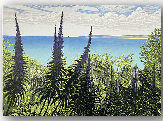 NC050 - Godrevy - Hazel McNab – Nico Cards