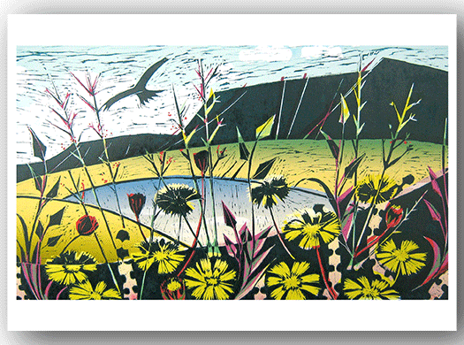 NC369 Llyn y Fan Fach - Judith Stroud – Nico Cards